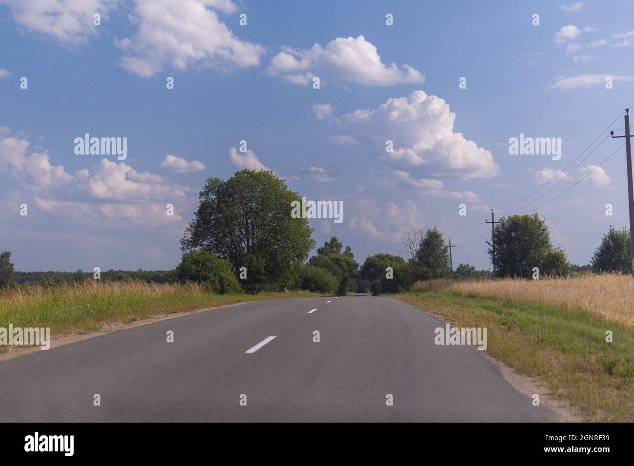 highway road in the countryside, roadside and asphalt, green forest and ...