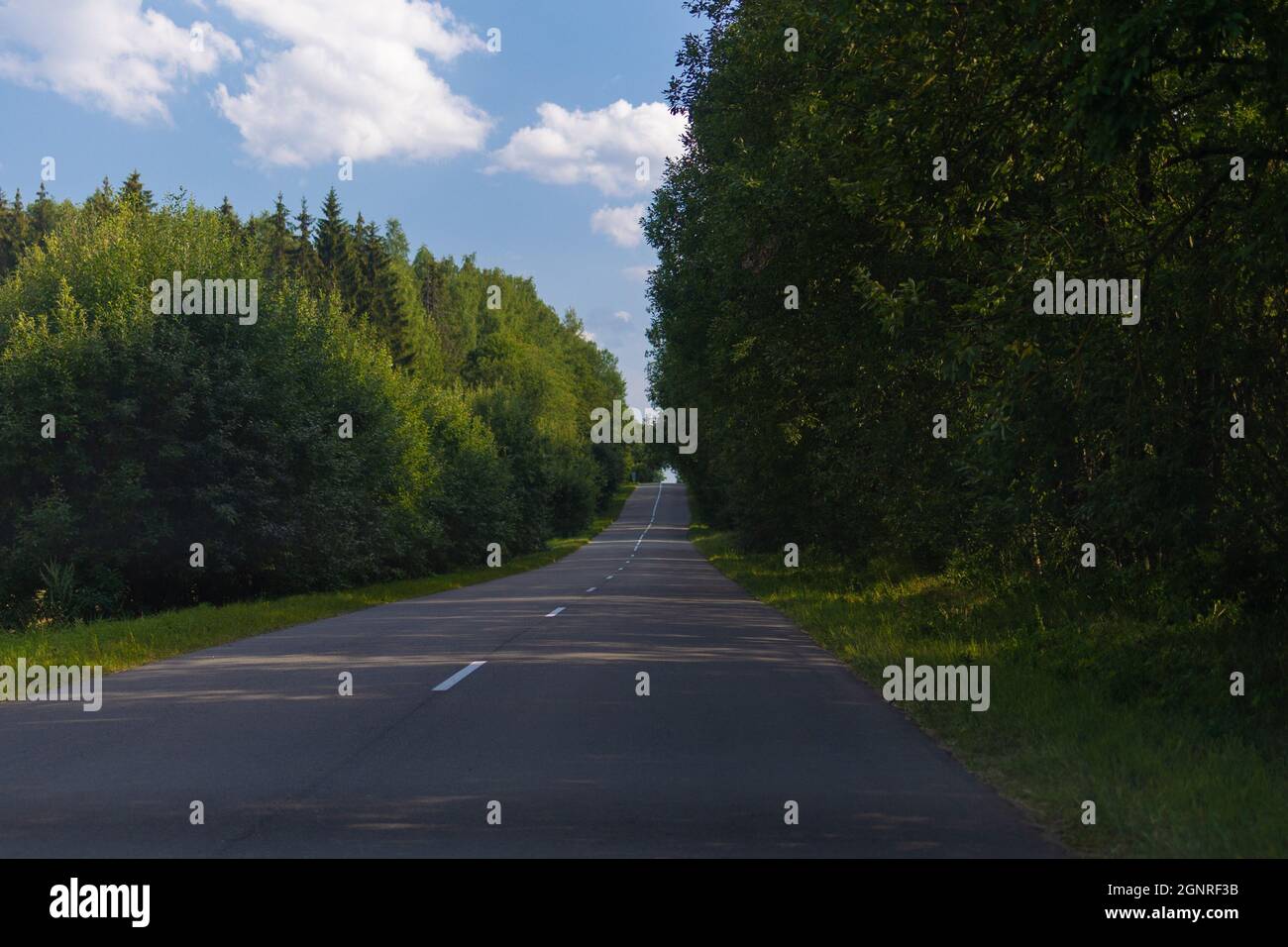 highway road in the countryside, roadside and asphalt, green forest and blue sky on a sunny day ...