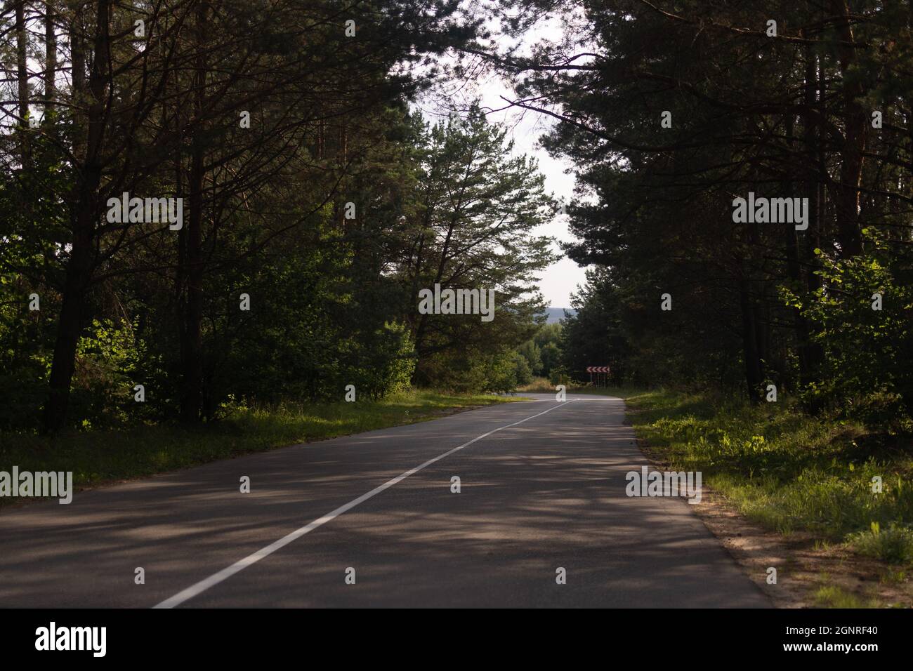 highway road in the countryside, roadside and asphalt, green forest and blue sky on a sunny day ...