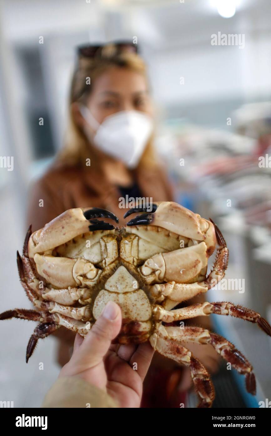 Fish market. Fresh crab. Portugal Stock Photo - Alamy