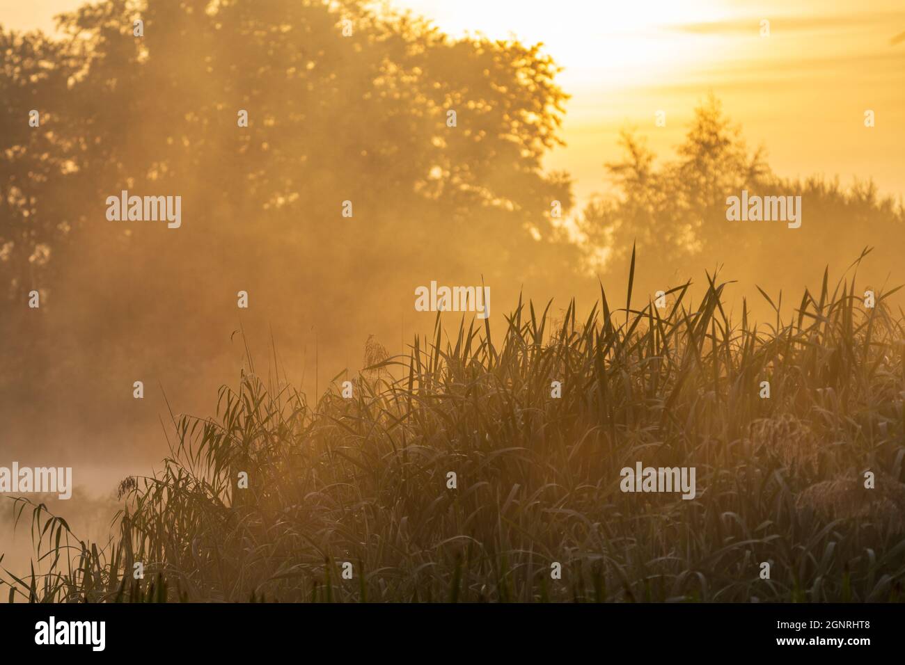 Atmospheric carbon dioxide hi-res stock photography and images - Alamy