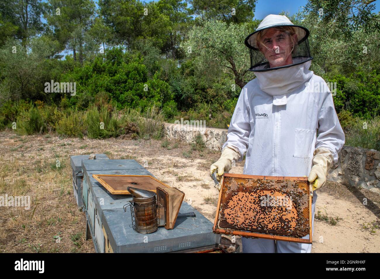 Beekeeper or honey farmer in Murià El Perelló, Tarragona Spain ...