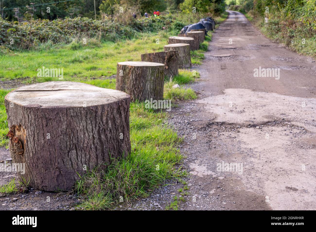 selected focus Farmer blocking off parts of his land to nuisence public ...