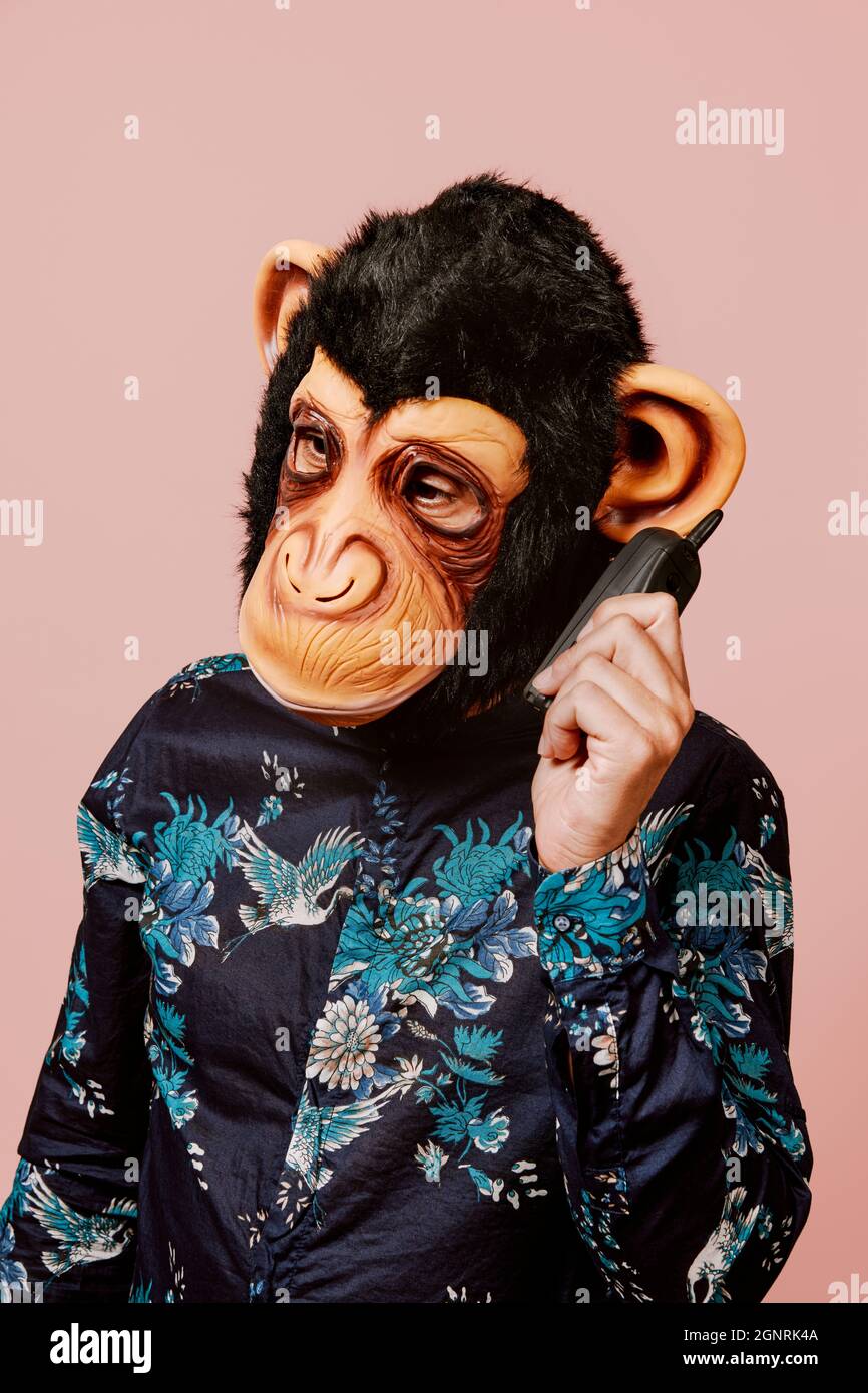 Monkey with phone hi-res stock photography and images - Alamy