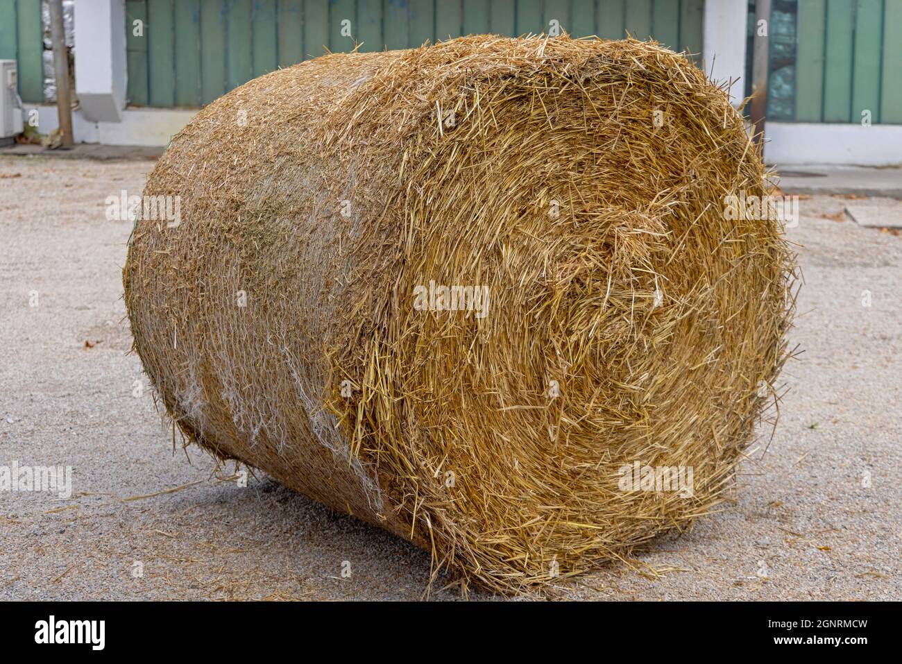 Bale of silage hi-res stock photography and images - Alamy