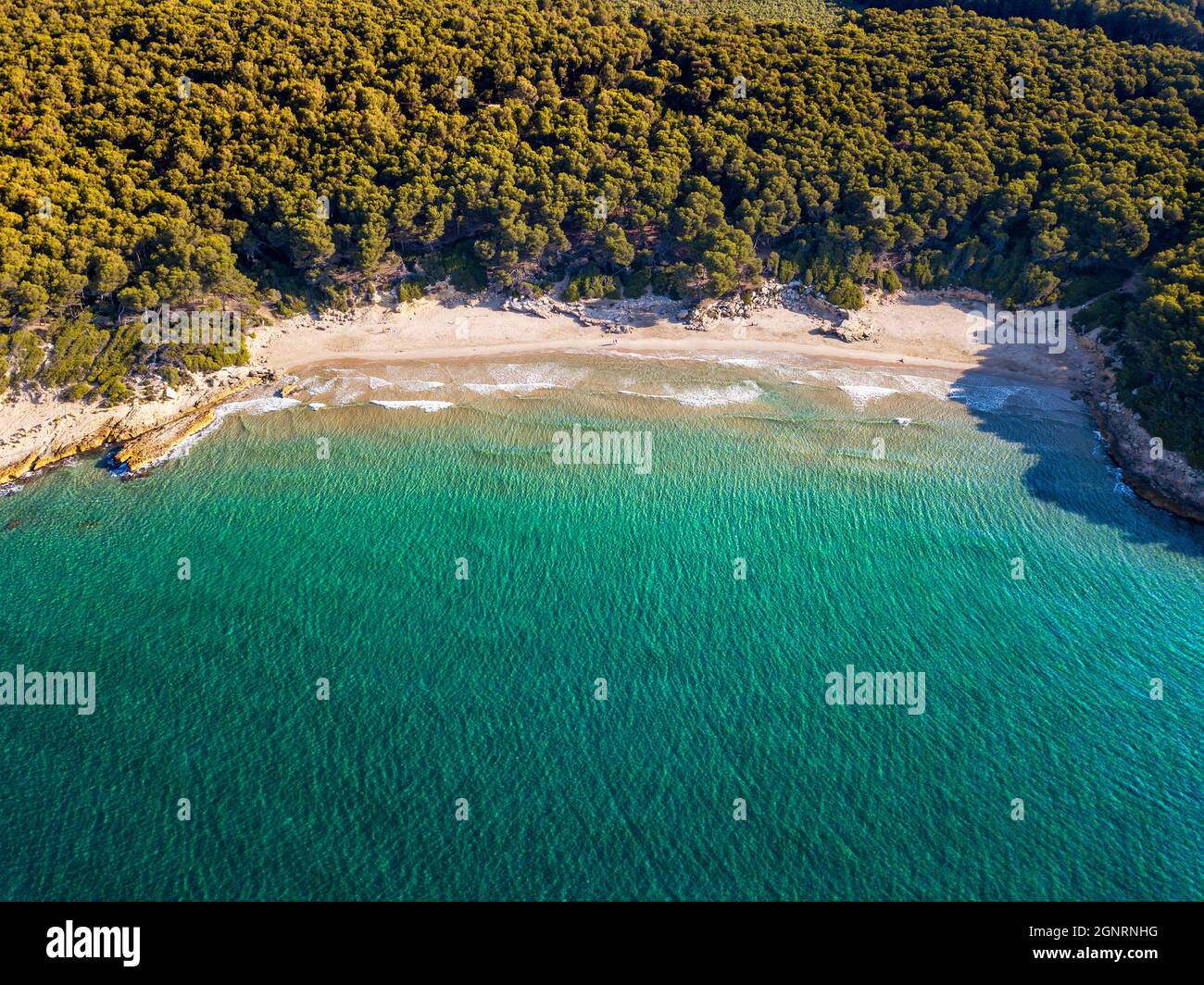 La roca dorada hi-res stock photography and images - Alamy