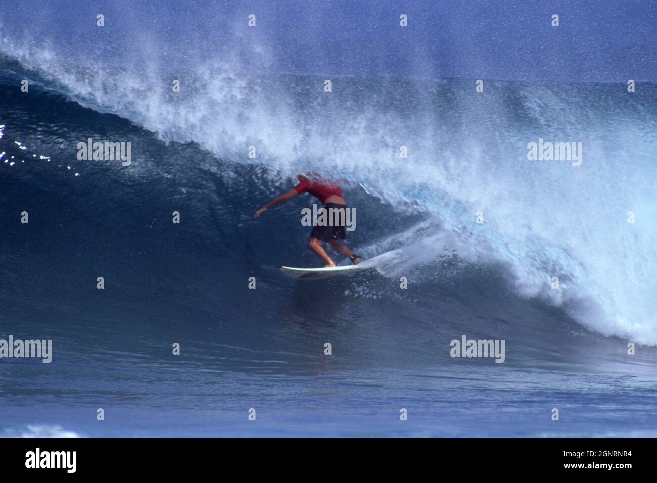 Riding the tube a surfer races the breaking lip of the wave enjoying ...