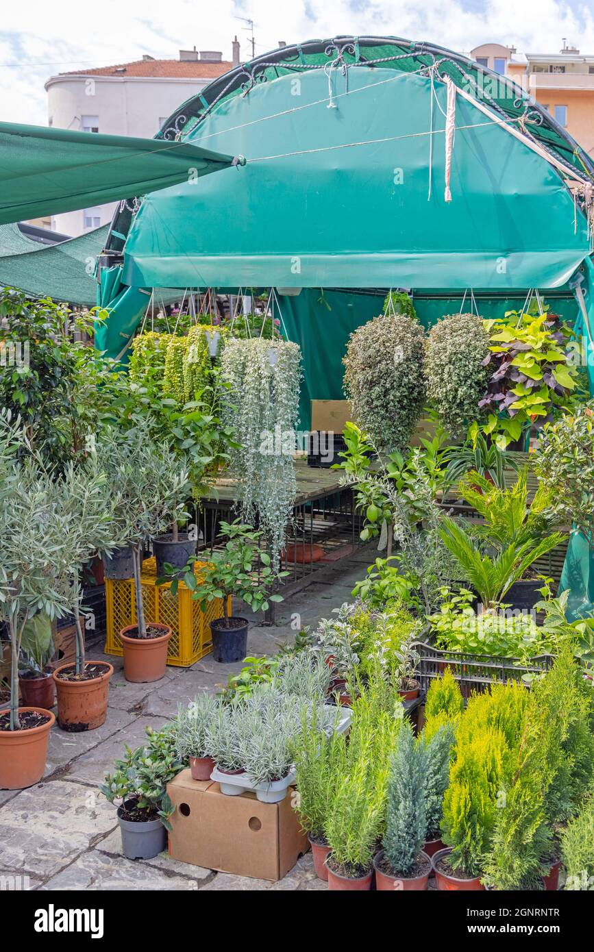 Gardening booth hi-res stock photography and images - Alamy