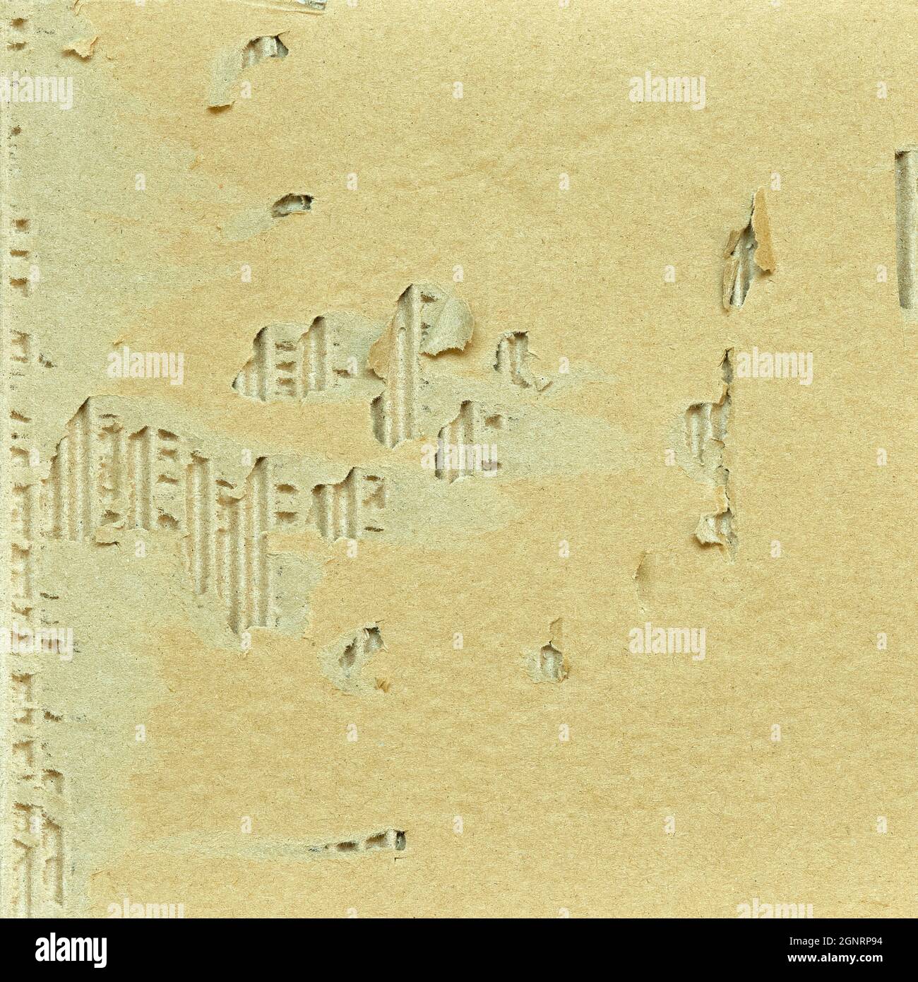 Brown Cardboard, Torn Paper Collage Style, Ripped Paper Effect, Texture ...