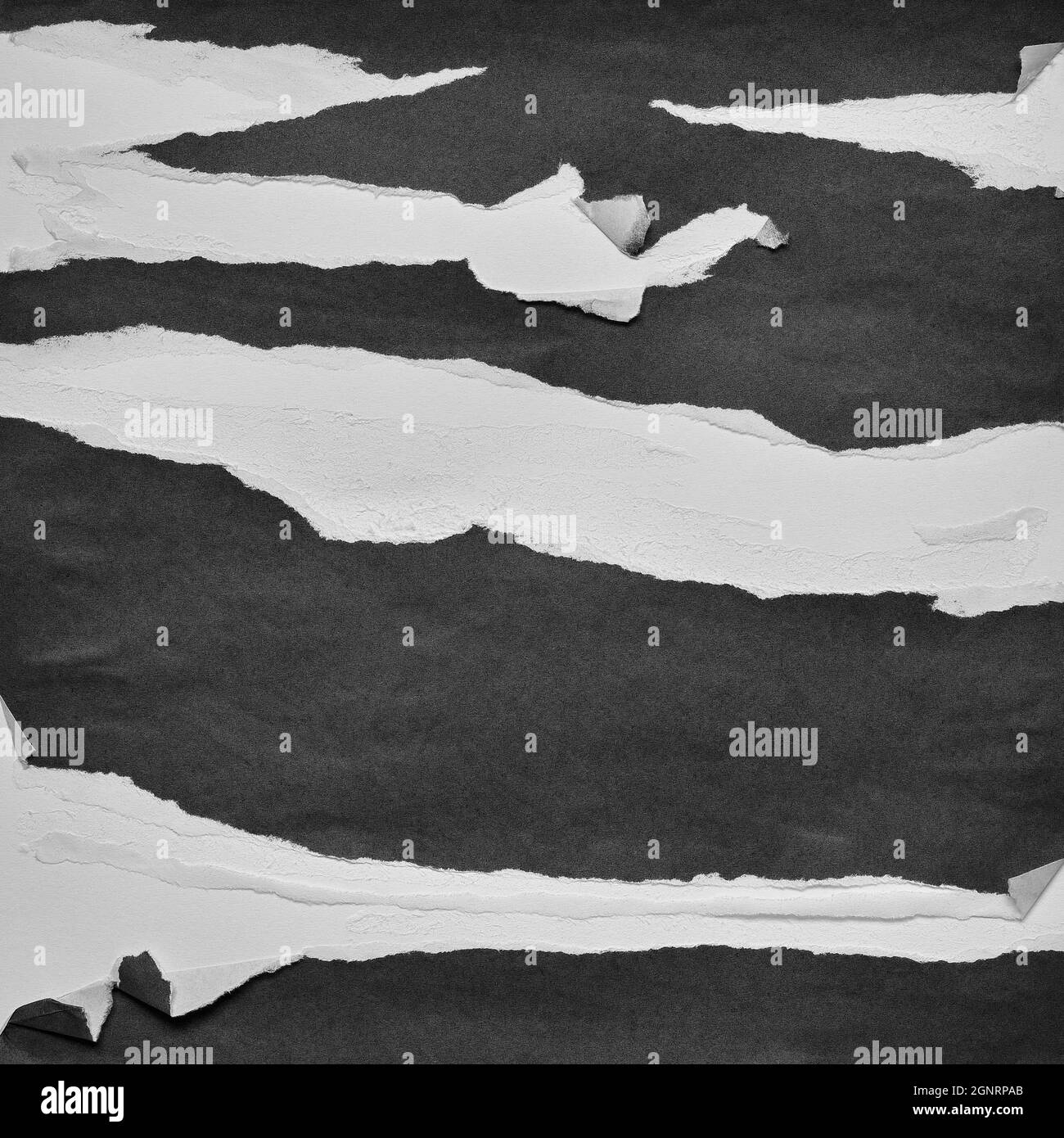 Black and White Torn Paper Collage Style, Ripped Paper Effect, Texture ...