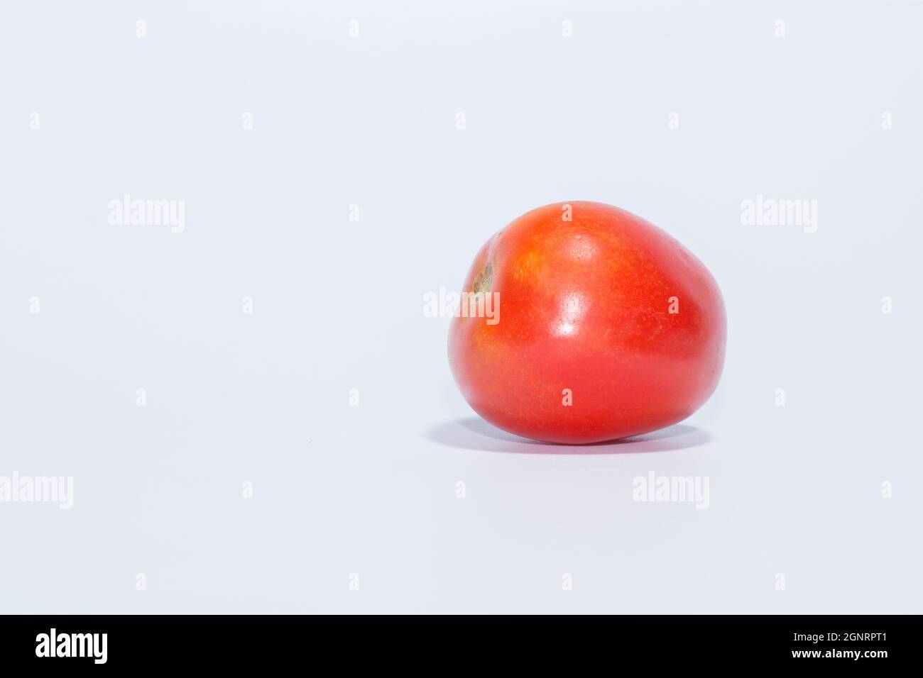 Tomato white background Stock Photo - Alamy
