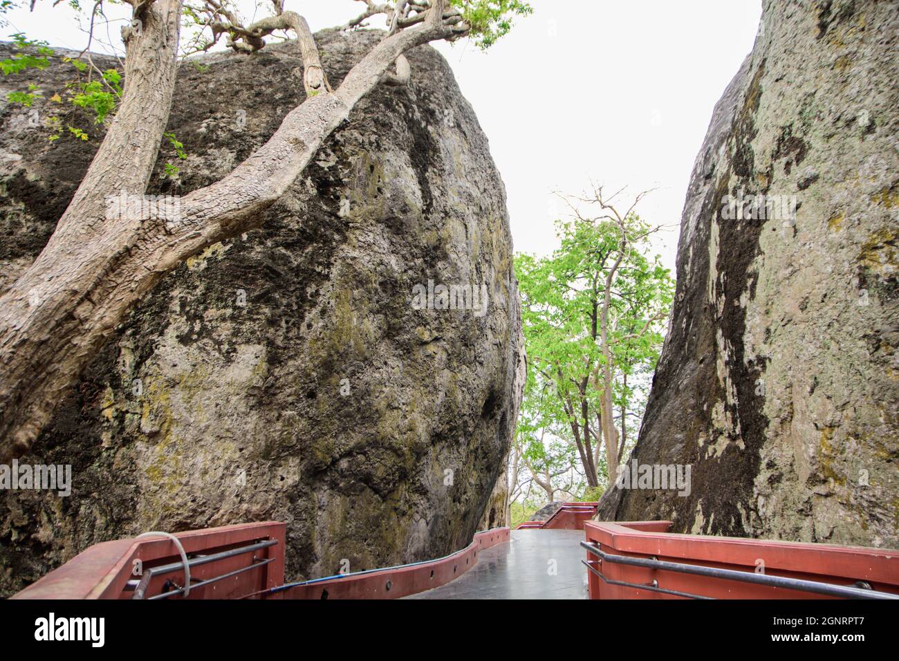 Cong nature trail hi-res stock photography and images - Alamy
