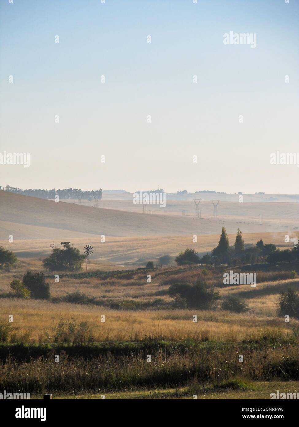 View over the golden grass in the Mpumalanga Highveld, of South Africa ...