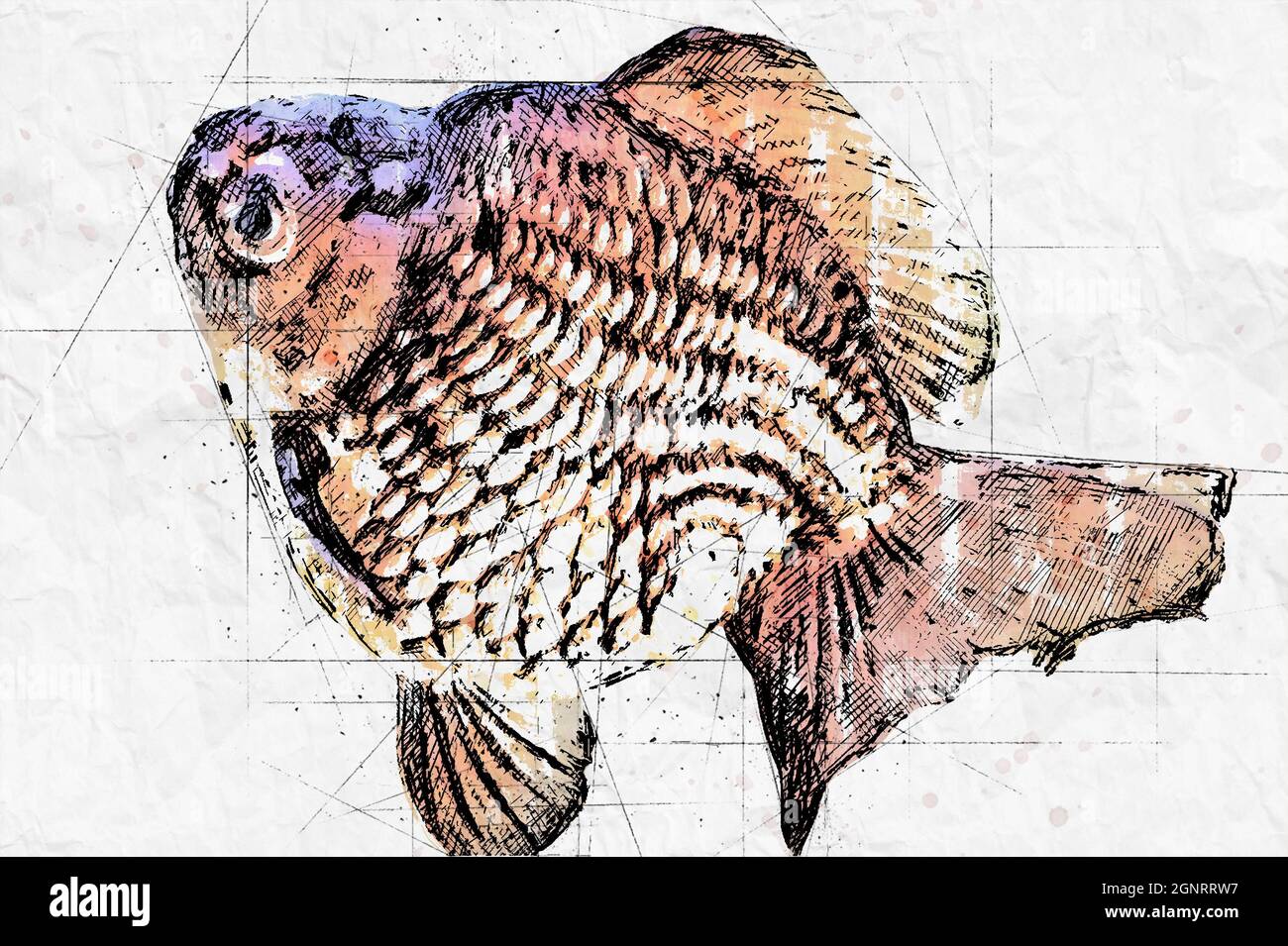 Gold food scales hi-res stock photography and images - Alamy