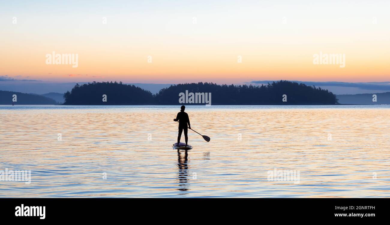 Adventurous Caucasian Adult Woman on a Stand Up Paddle Board Stock ...