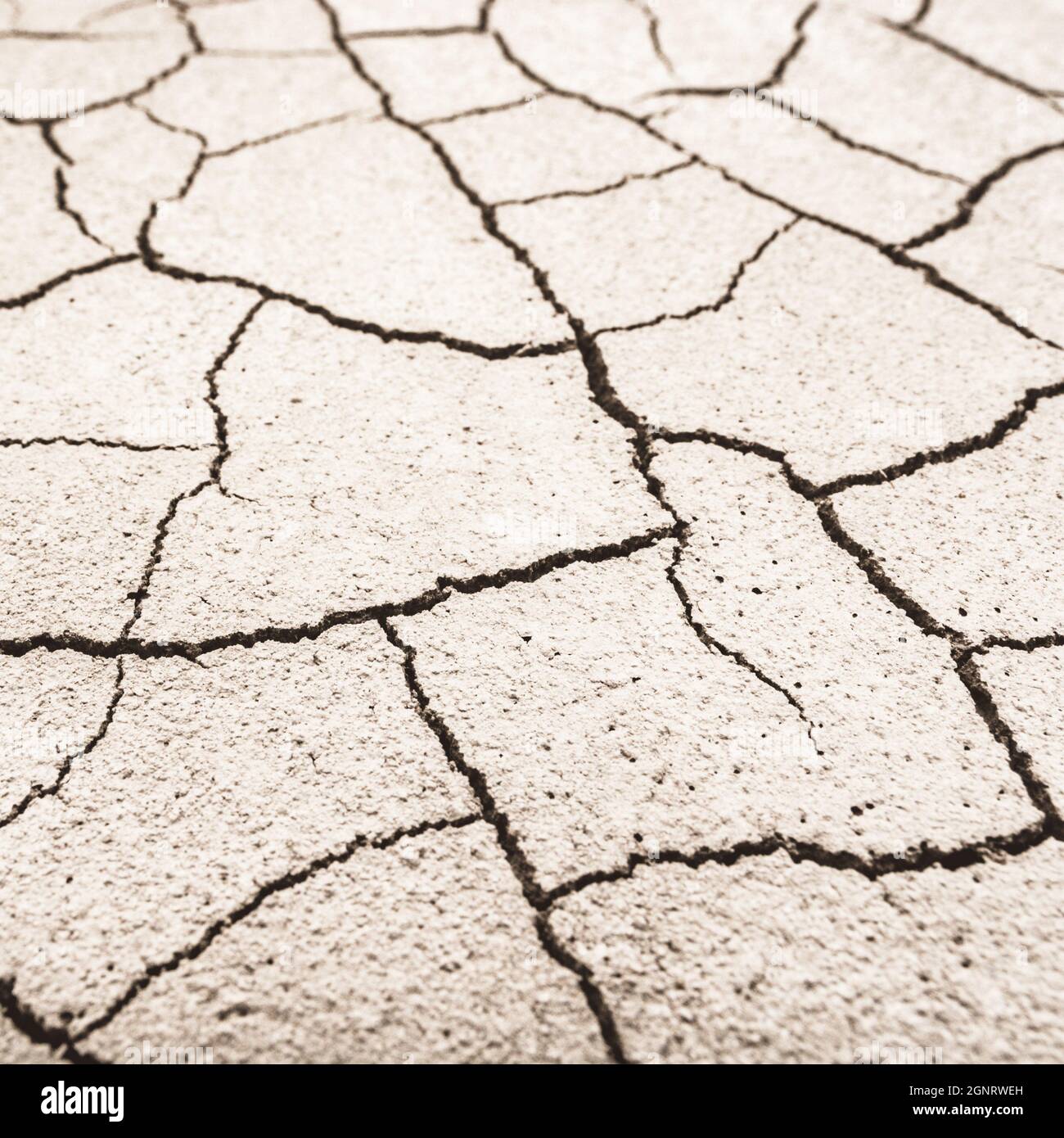 Earth cracked water hi-res stock photography and images - Alamy