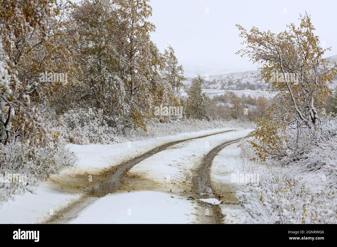 First snow in the mountains in Norwegian Forollhogna National Park ...