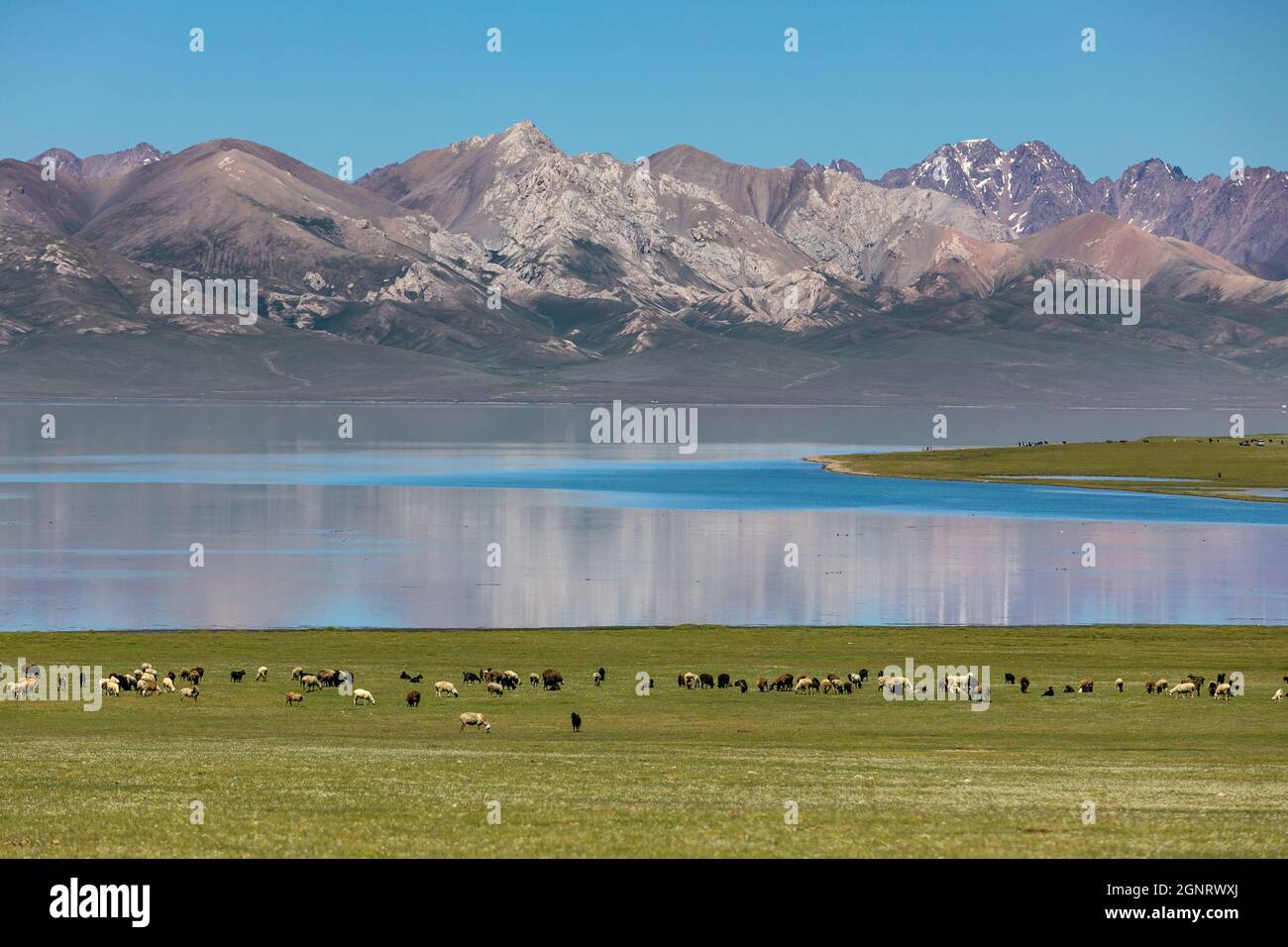 Environment and grazing sky hi-res stock photography and images - Alamy