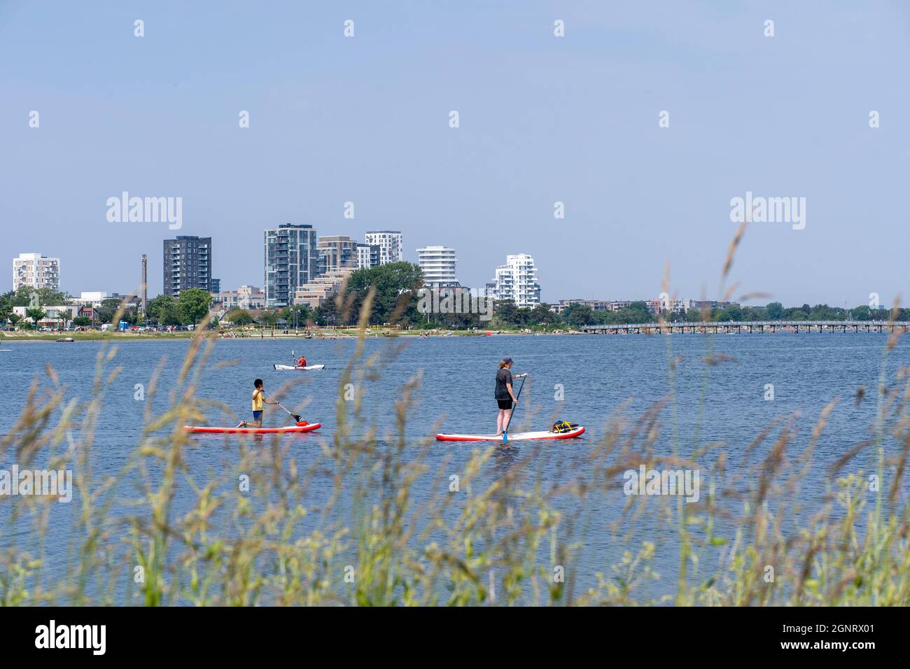 Amager Strand Park in Copenhagen, Denmark Stock Photo - Alamy