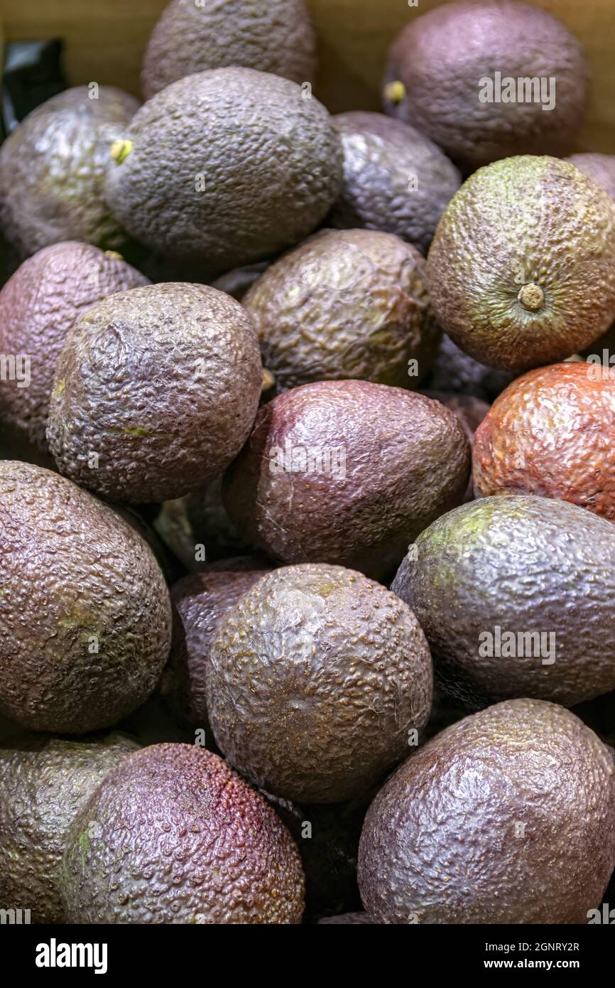Supermarket avocados hi-res stock photography and images - Alamy