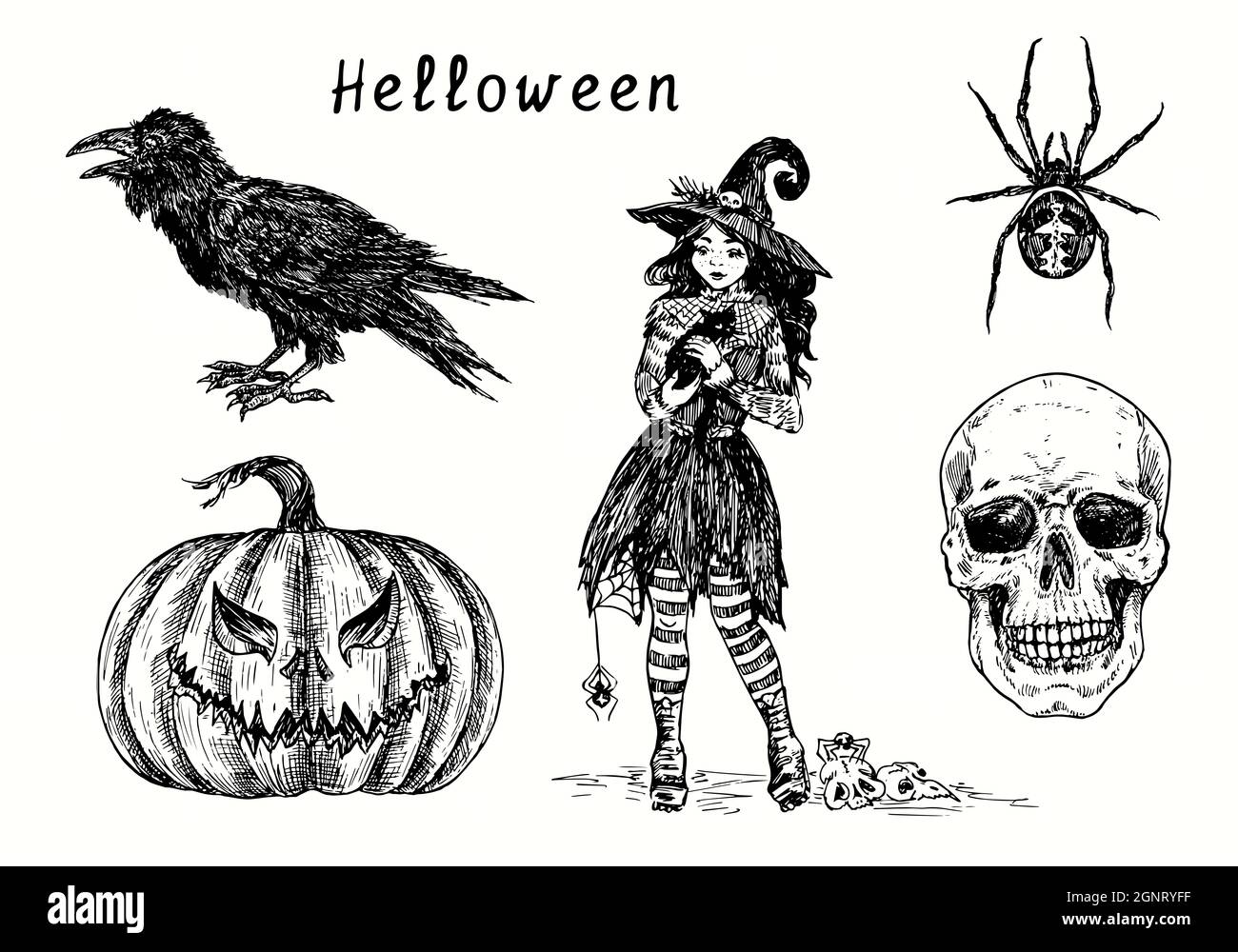 Halloween collection, Black crow, pumpkin Jack-o-lantern, Cute small ...
