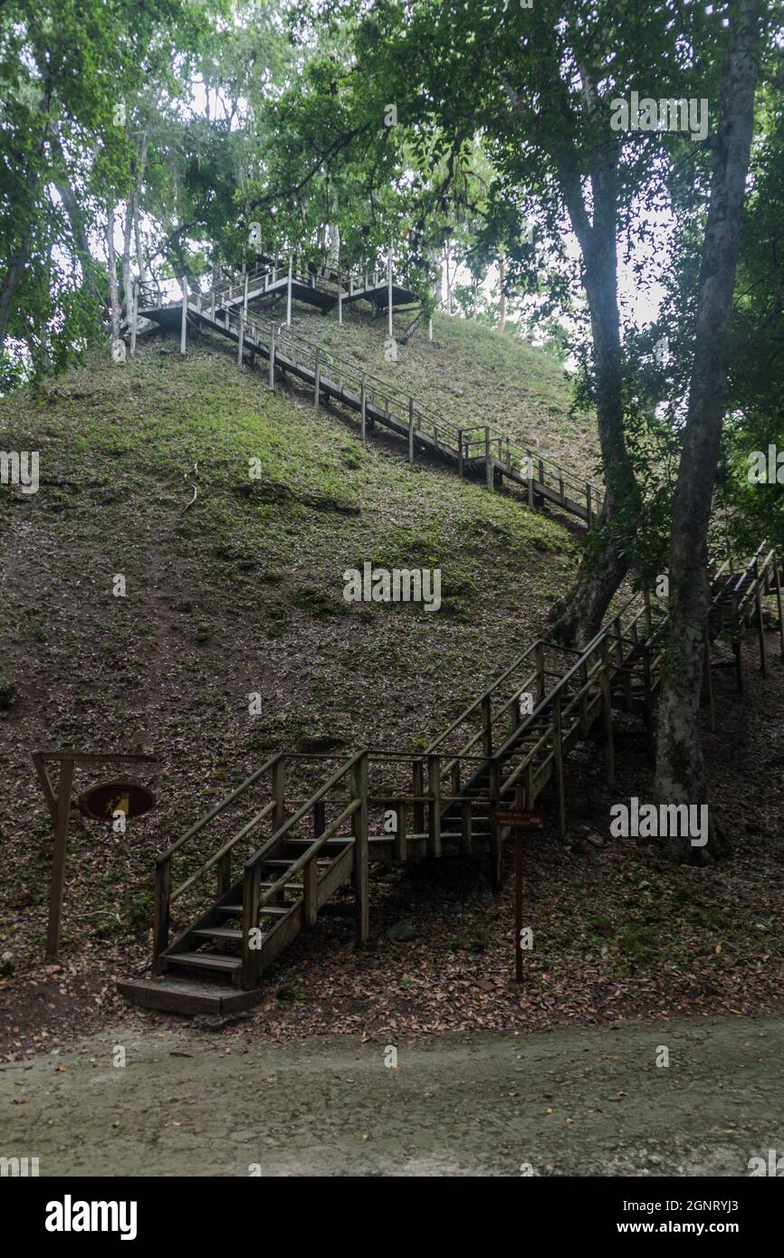 Stairs leading ruins covered hi-res stock photography and images - Alamy