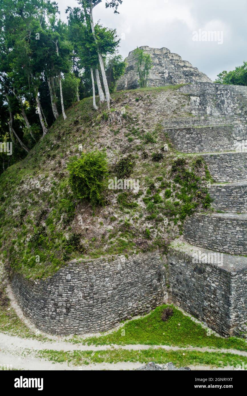 Pyramid at the North Acropolis at the archaeological site Yaxha ...