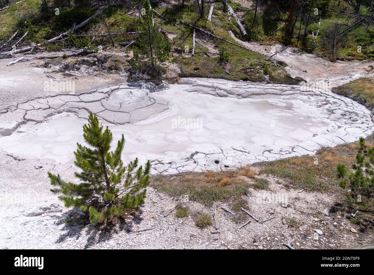 Mud pots bubble hi-res stock photography and images - Alamy