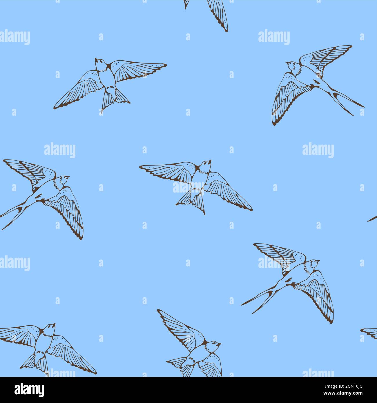 Swallow and House Martin birds vector pattern, hand drawn seamless ...
