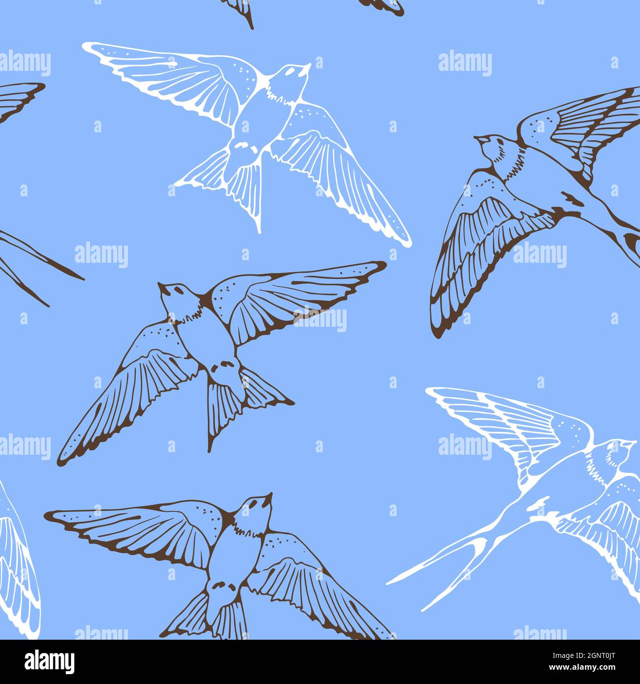 Swallow and House Martin birds vector pattern, hand drawn seamless ...