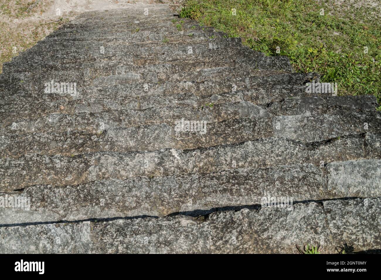 Stairway of the pyramid at Complex Q at the archaeological site Tikal ...
