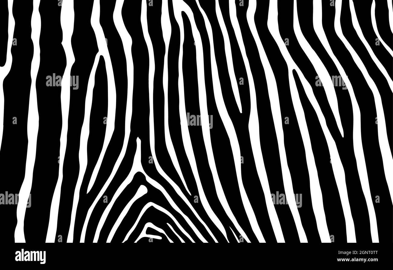 Zebra skin texture pattern, seamless vector background, hand drawn ...