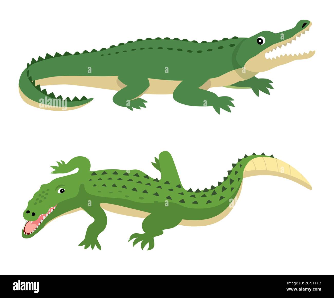 Green alligators set wild animal vector isolated Stock Vector Image ...