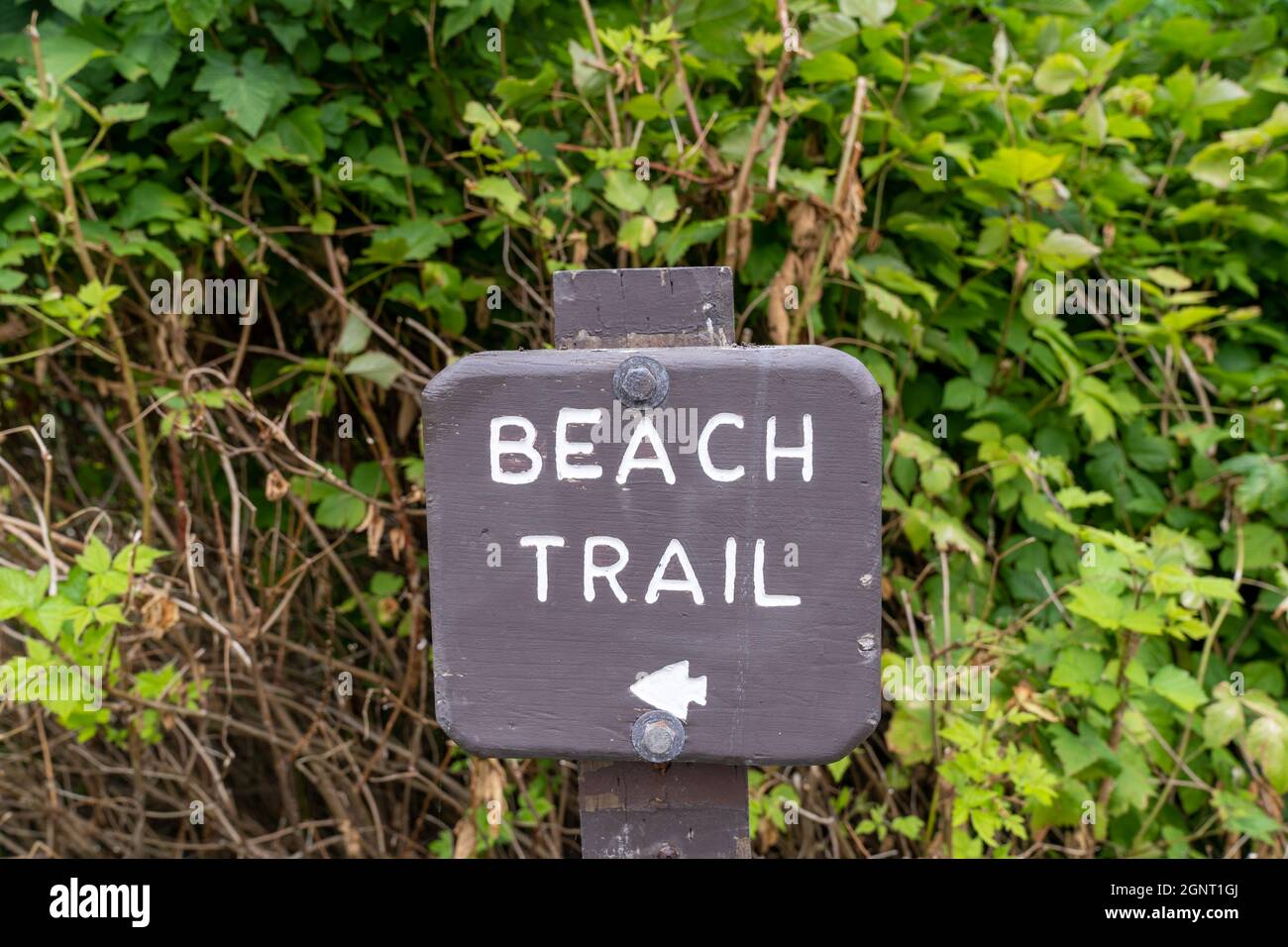 Beach Trail directional sign leading to a beach on the ocean. Taken at ...