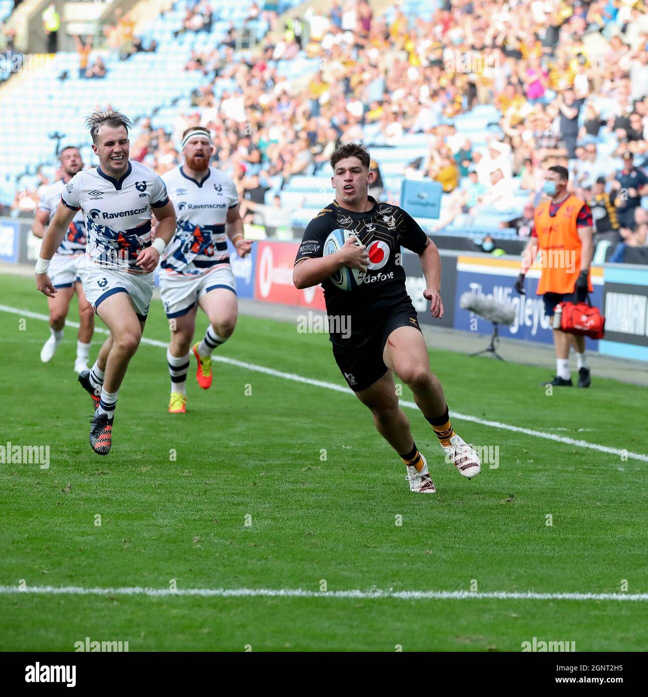 Dan frost wasps hi-res stock photography and images - Alamy