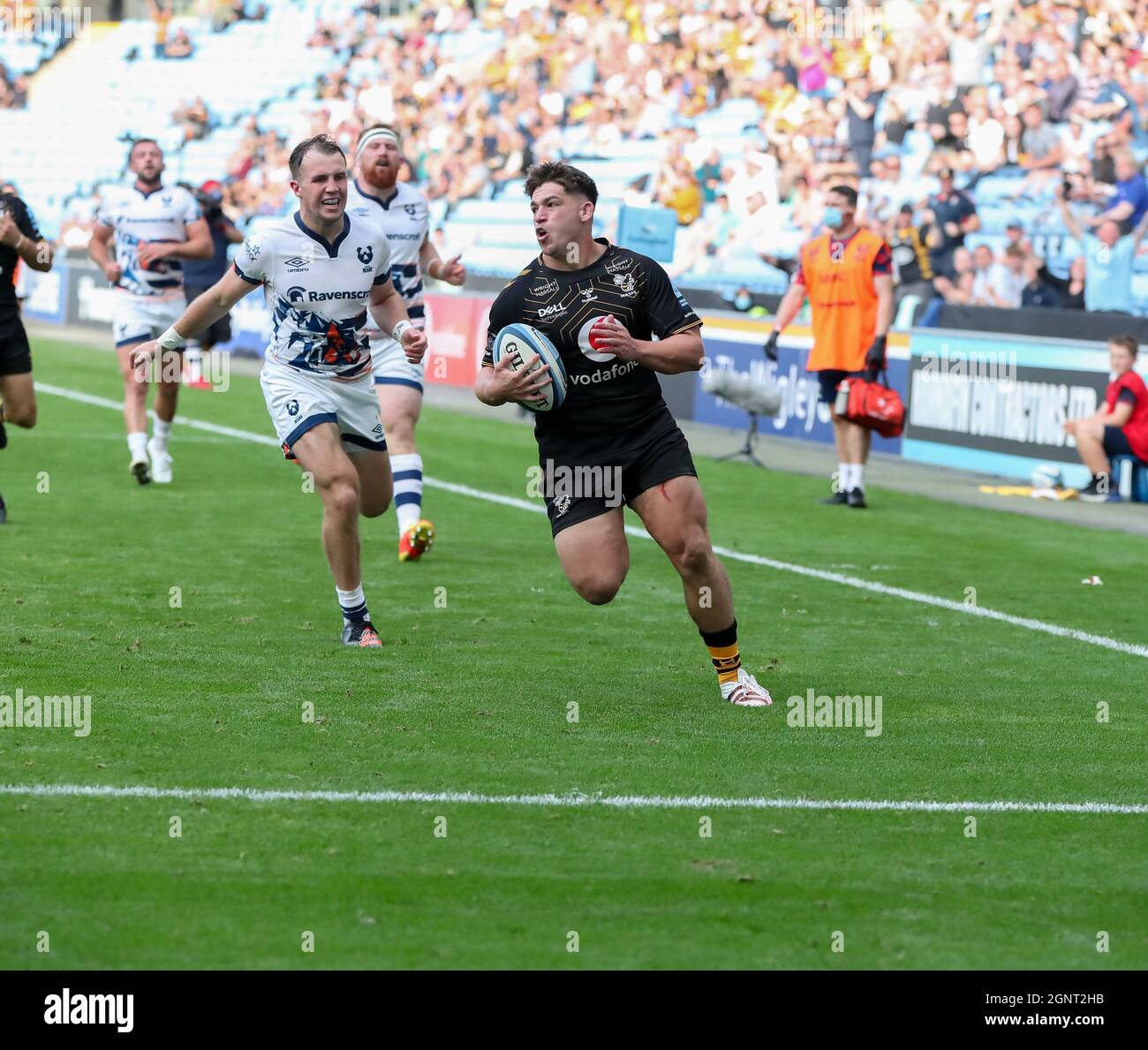 Dan frost wasps hi-res stock photography and images - Alamy