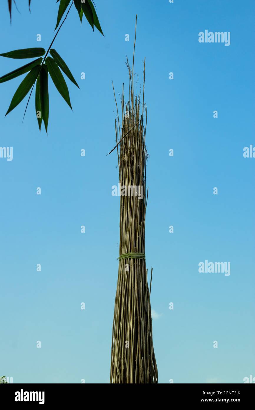 White Saluyot, Lalo, or Jute Stick Bundle features simple, white jute ...