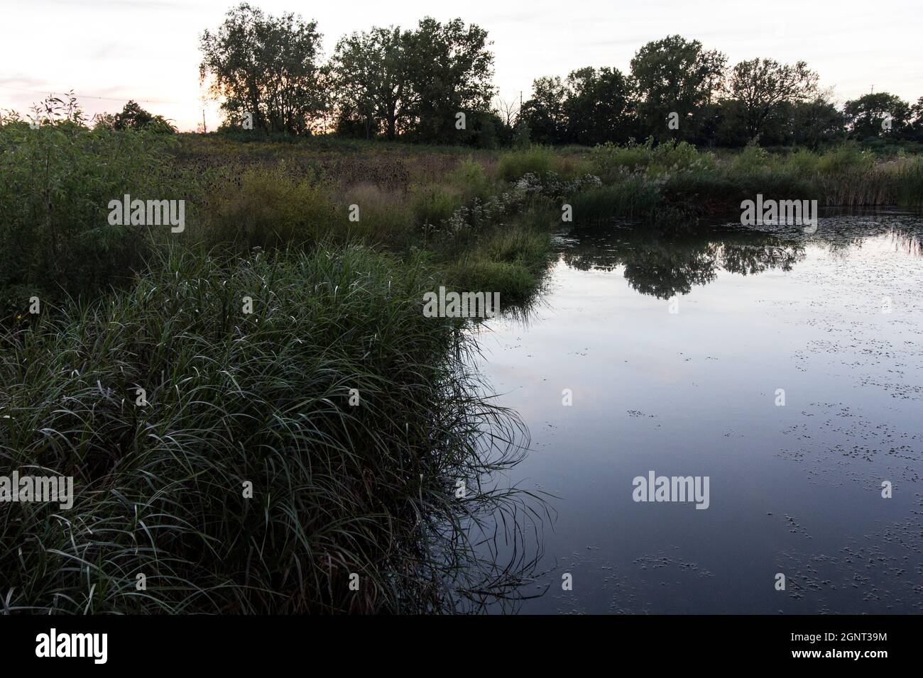Scioto Audubon Metro Park, Columbus, Ohio Stock Photo - Alamy