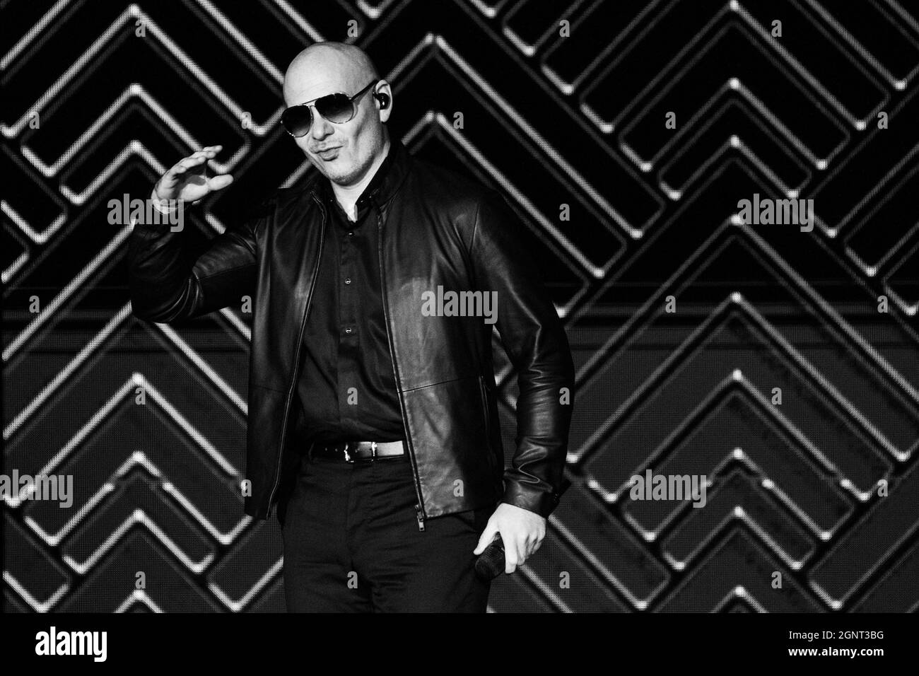 Pitbull Rapper Black And White