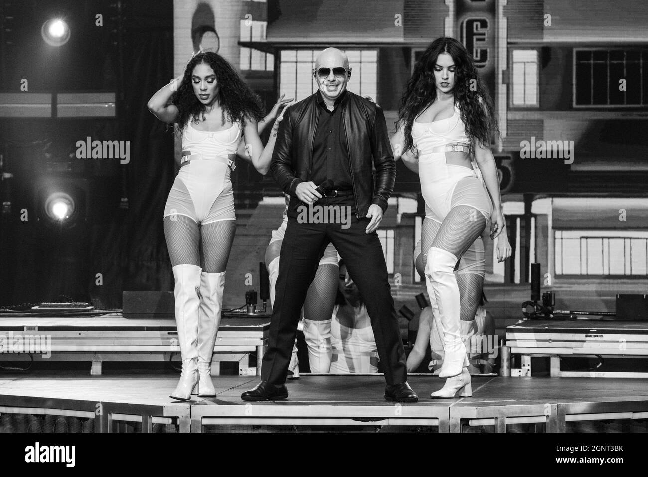 Pitbull Rapper Black And White