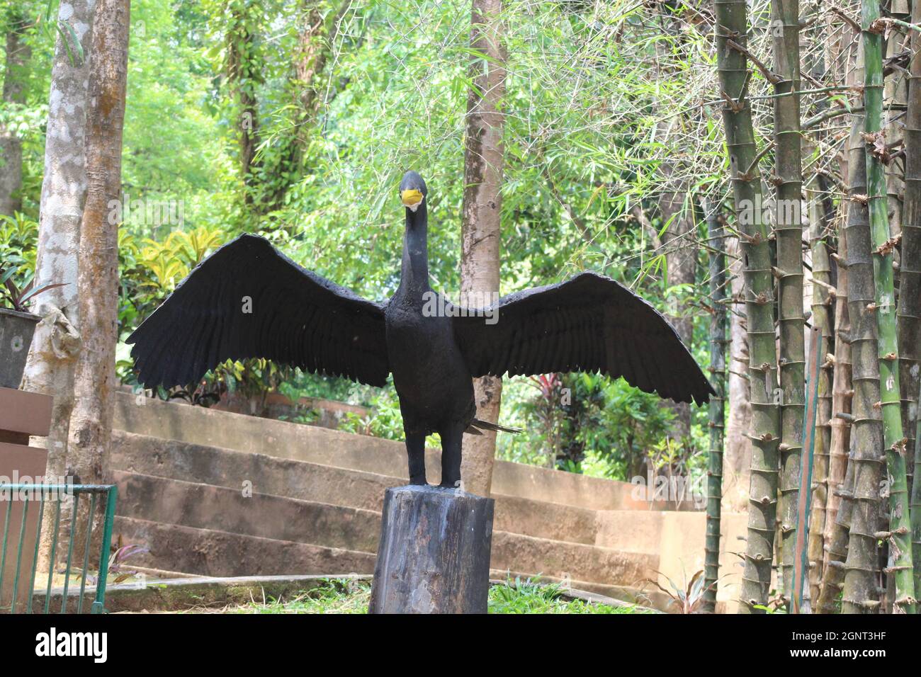 Thattekad bird sanctuary kerala hi-res stock photography and images - Alamy