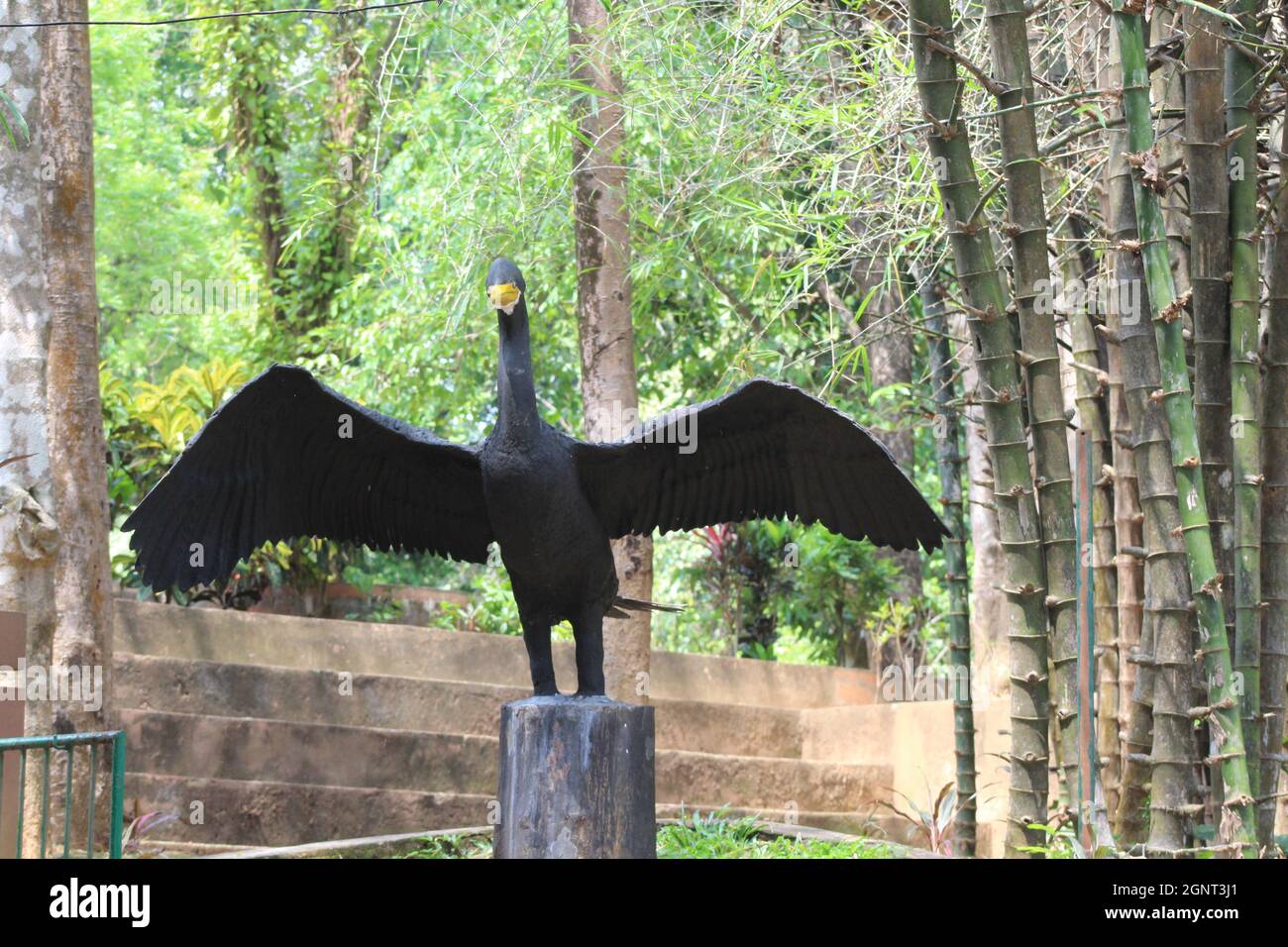 Bird sculpture in Thattekadu bird sanctuary kerala Stock Photo - Alamy