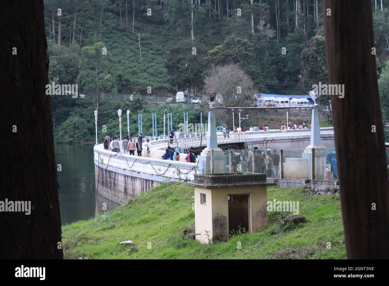 A view from Munnar Stock Photo - Alamy