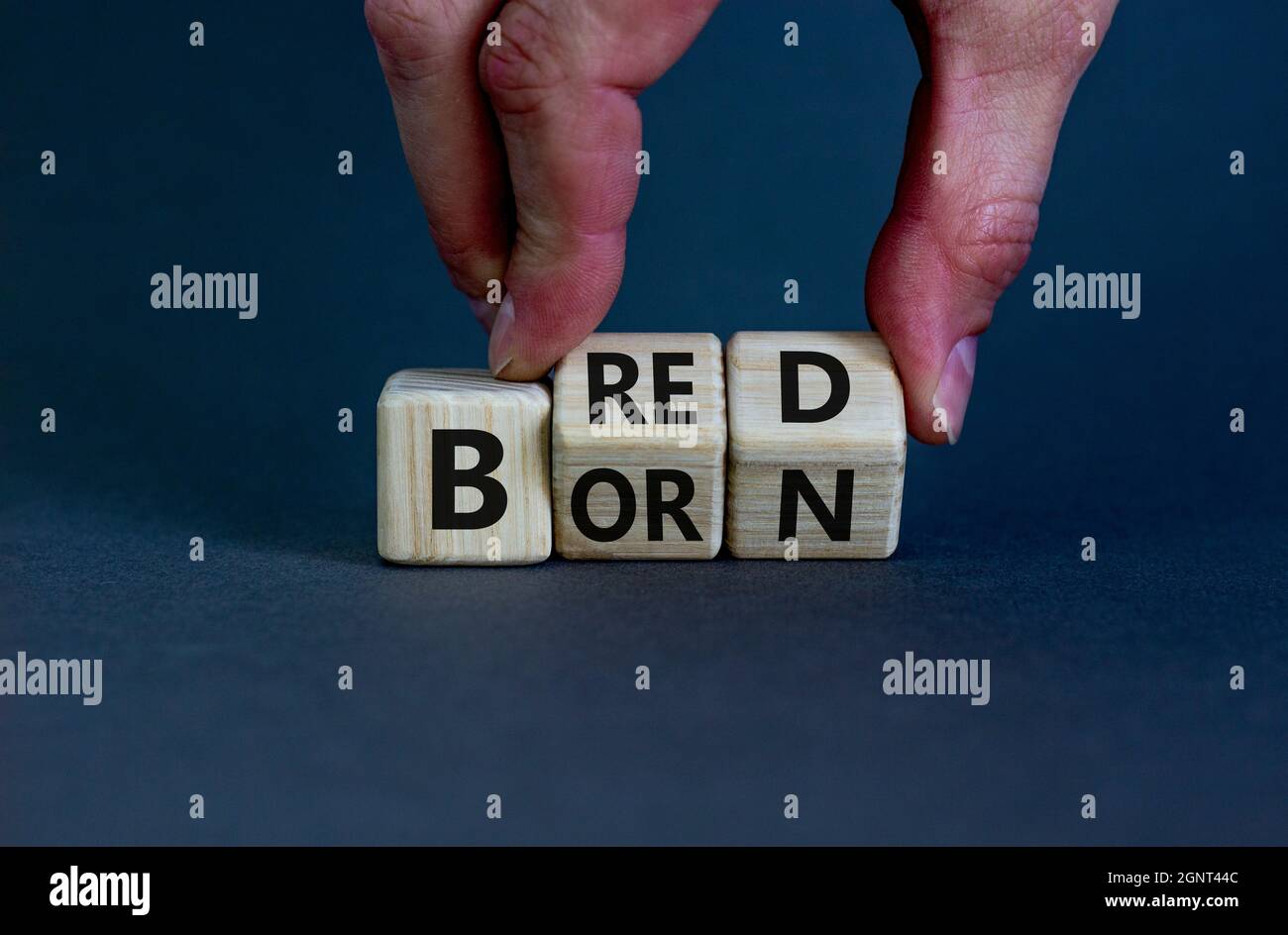 Born or bred symbol. Businessman turns wooden cubes and changes the ...