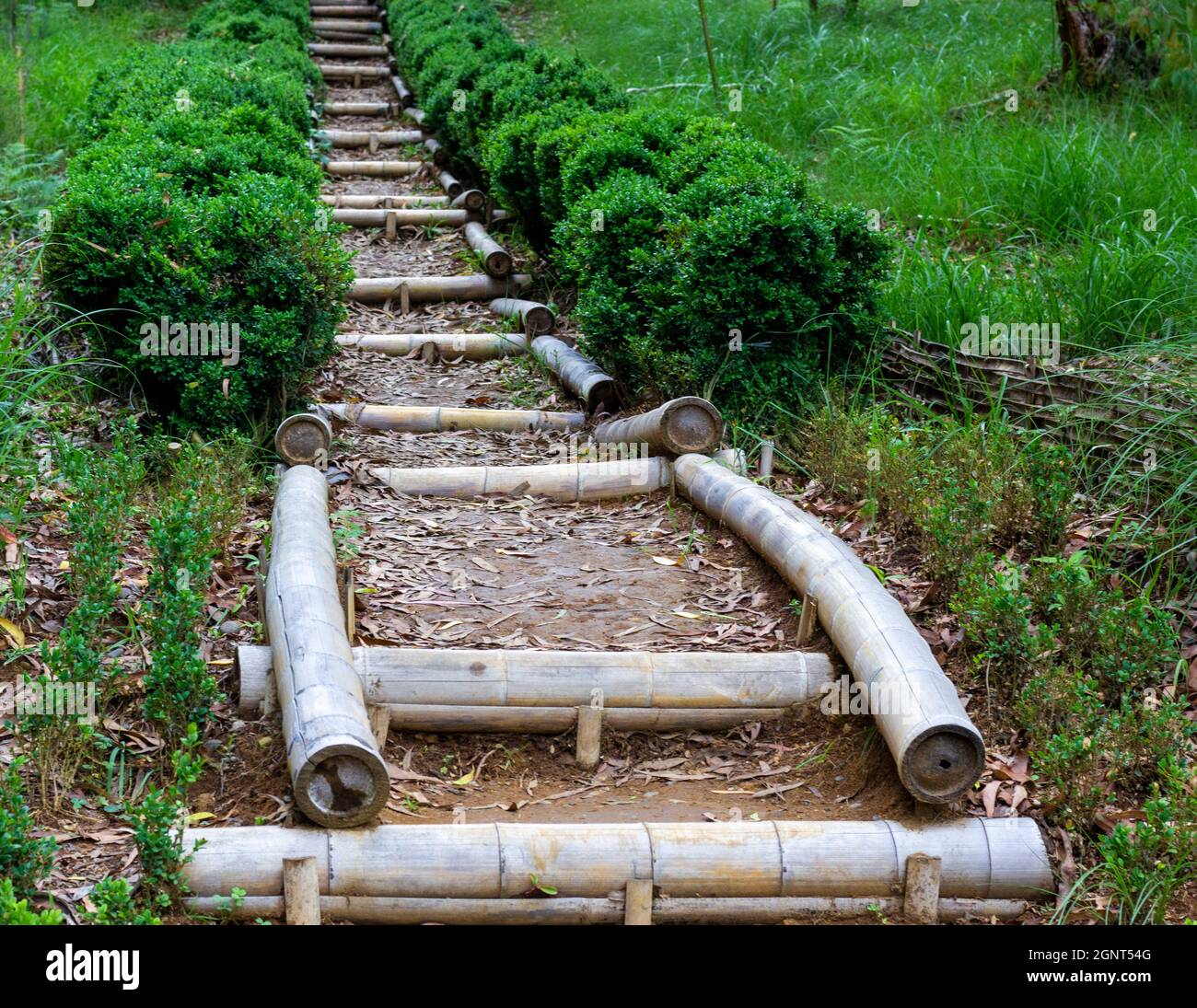 Old bamboo ladder hi-res stock photography and images - Alamy