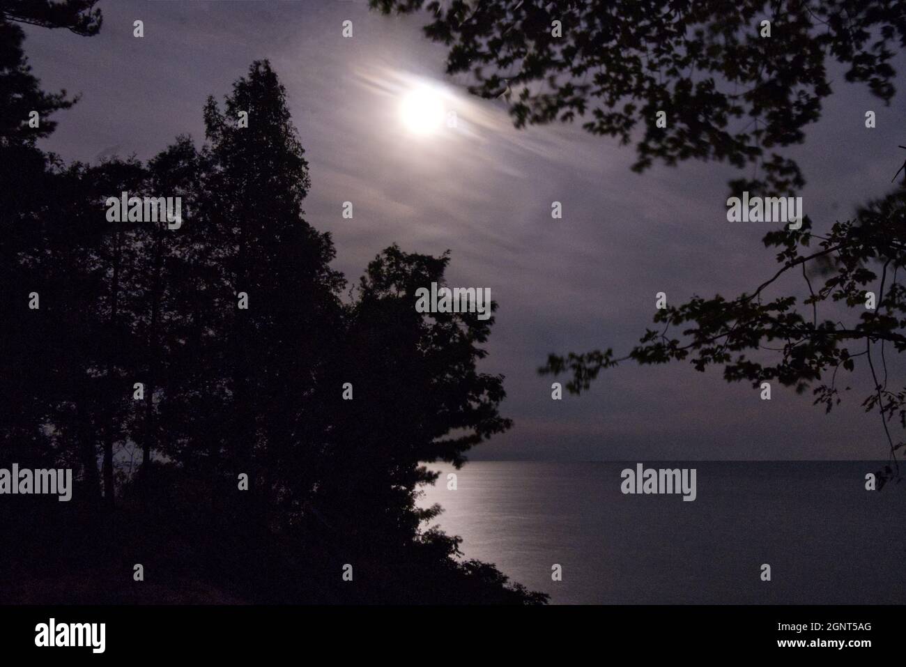 Moon over lake Michigan & through foliage Stock Photo - Alamy