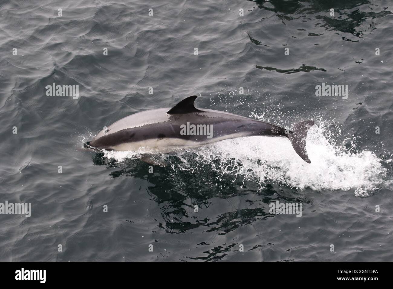 Sequence of 6 photographs hi-res stock photography and images - Alamy