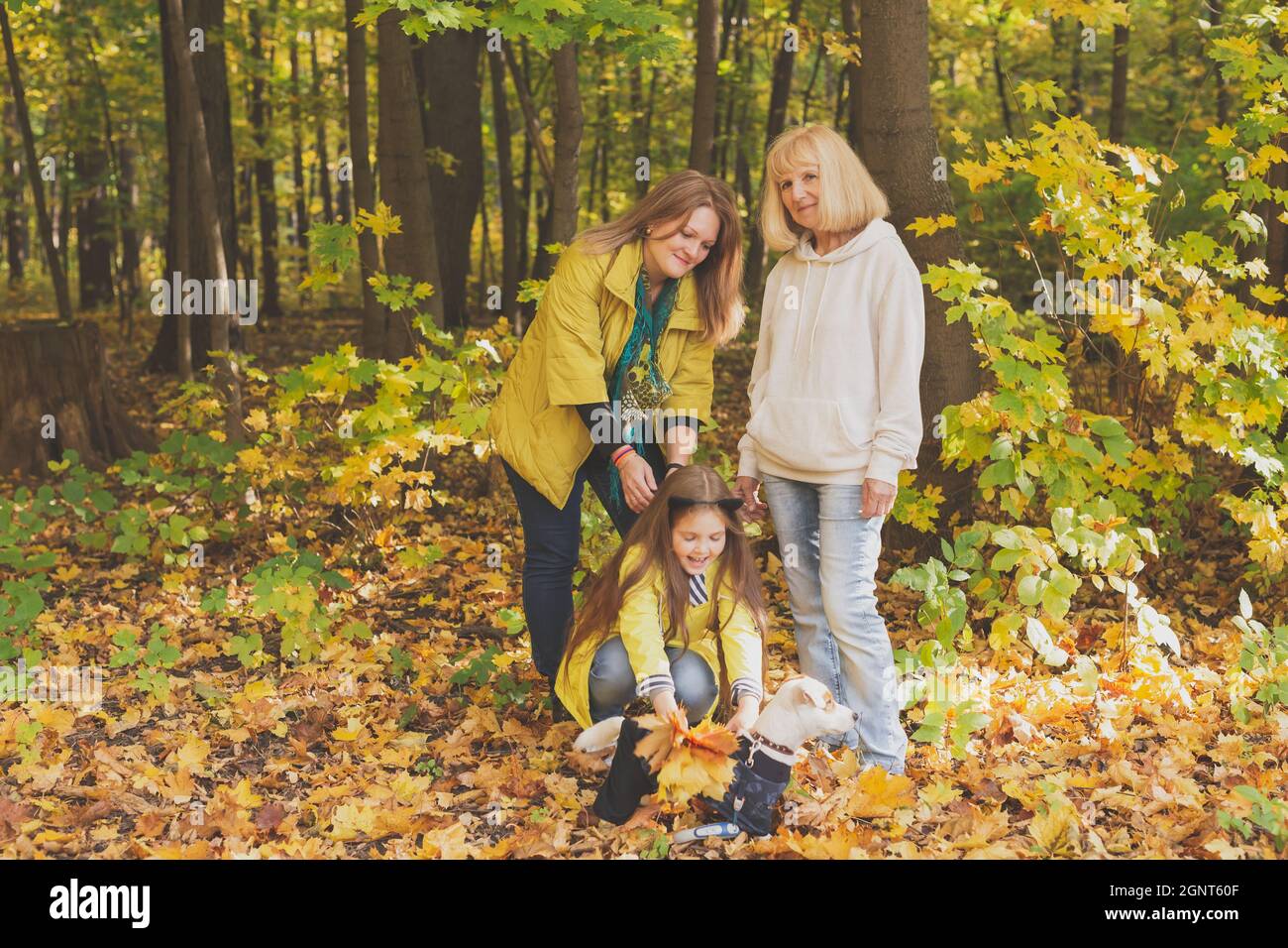 Portrait of three generations of happy beautiful woman looking at ...