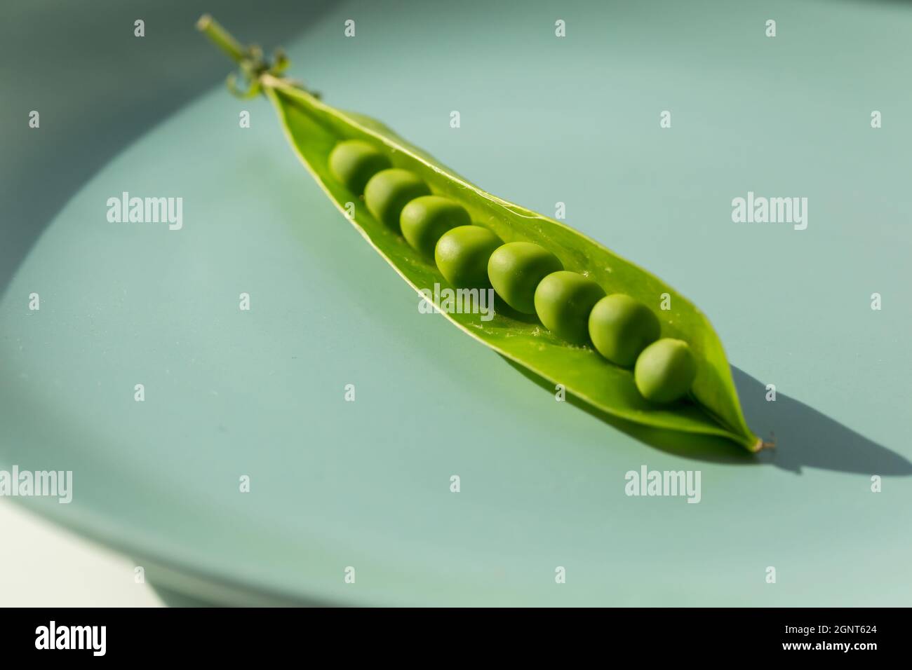 One green pea on the green plate. Healthy lifestyle concept Stock Photo ...