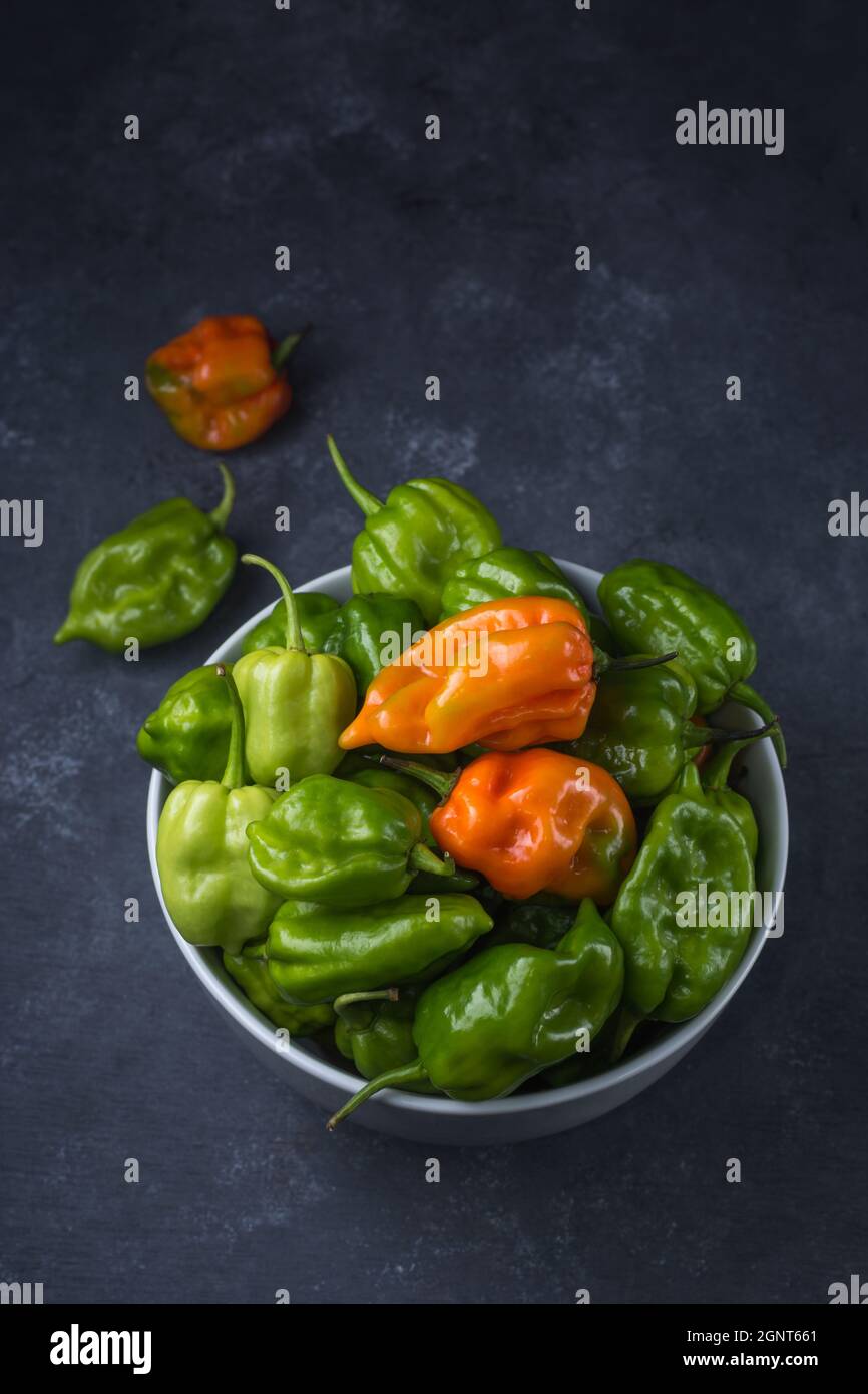 habanero chili peppers, ripe and unripe hot variety of capsicum ...